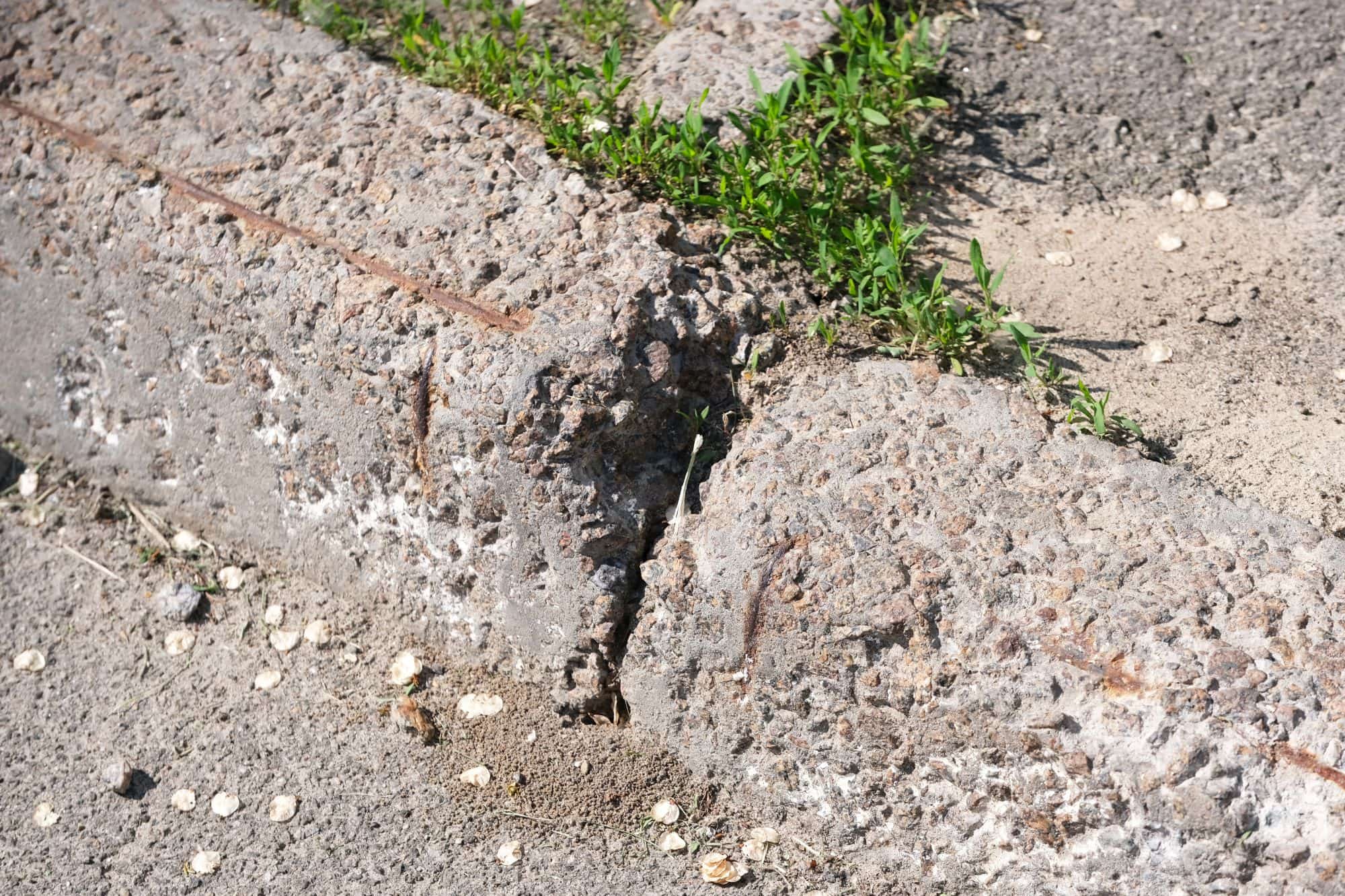 Concrete Curb Repair Arlington TX | Lucky’s Concrete